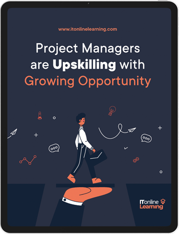 Project Managers Upskilling
